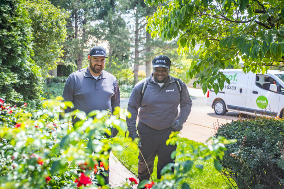 Green Solutions - Pest Control