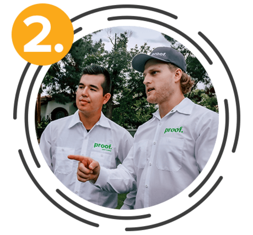 Home Page - Pest Control